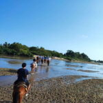Huatulco:Turtle release,horseback riding and bioluminescence - In-Depth Look at the Itinerary and Activities