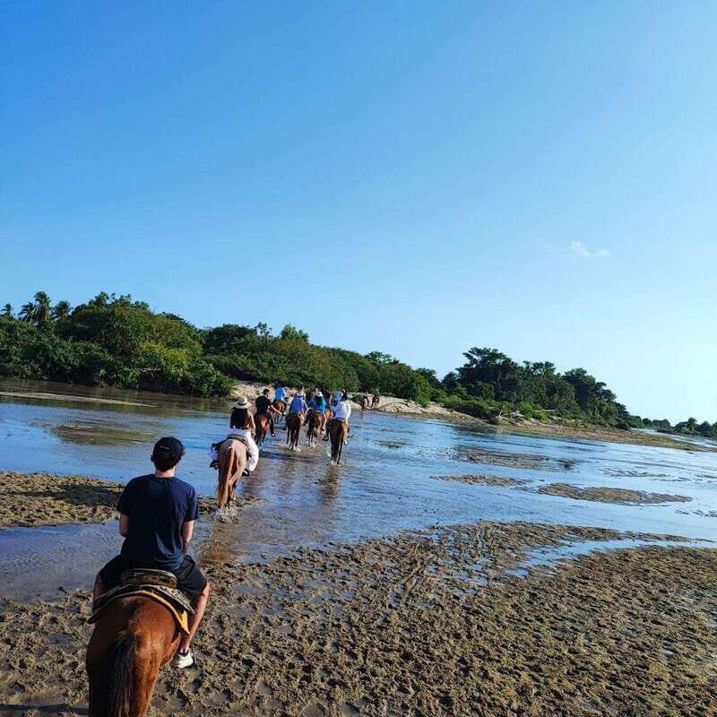 Huatulco:Turtle release,horseback riding and bioluminescence - In-Depth Look at the Itinerary and Activities