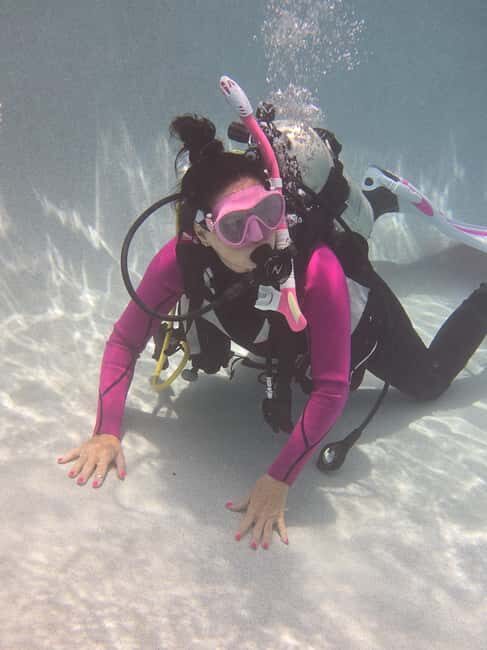 HUDSON, FL: PADI Discover Scuba Diving Experience - Key Points