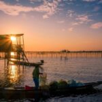 Hue : Half Day Tam Giang Lagoon SunSet Tour - What Makes This Tour a Great Choice