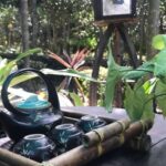 Hue: Thuy Bieu Village Bike Tour with Lunch - Who Should Consider This Tour?