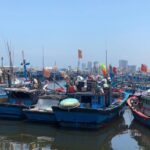 Hue to Hoi An or Hoi An to Hue sightseeing Son Tra Peninsula and Fishing Village - What to Expect from the Transportation and Guides