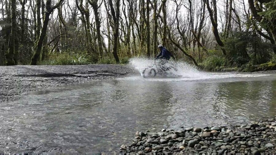 Humboldt: Electric Bike Rentals (4-Hour or Full Day options) - Why We Love the Experience