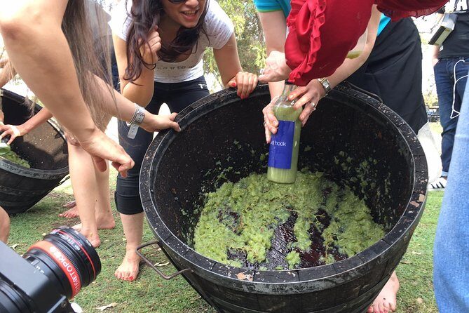 Hunter Valley Grape Stomping - Analyzing the Value