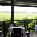 Hunter Valley Helicopter Tour with a Bubbly Breakfast - Who Would Love This Experience?
