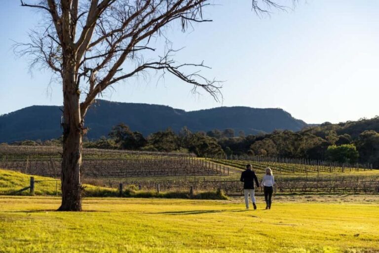Hunter Valley: Pooles Rock Premiere Wine Tasting - What to Expect: The Flow of the Tasting