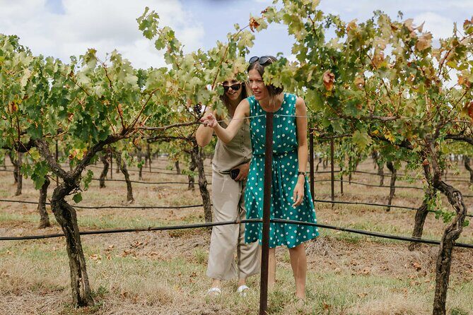 Hunter Valley Wine, Food & Vine Tour with Behind the Scenes - Exploring Hunter Valley: A Detailed Look