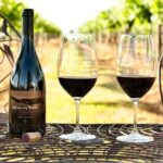 Hunter Valley Wine Tasting Private Tour From Sydney - Who This Tour Suits Best