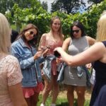Hunter Valley Wine Tour + Lunch, Gin, Cheese, Choc from Newcastle - Why This Tour Works for You