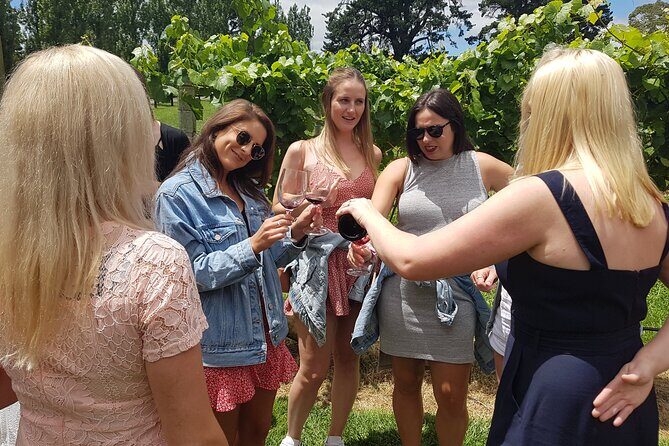 Hunter Valley Wine Tour + Lunch, Gin, Cheese, Choc from Newcastle - Why This Tour Works for You