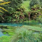 Hunua Falls and Blue Springs (Te Waihou): Private Tour - Key Points