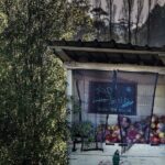 Huon Valley Scenic Bus Adventure in Tas Australia - Evaluating the Value