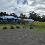 Huon Valley Wine and Cider Tour - Hobart and SE Tasmania - What to Expect in Terms of Value and Experience