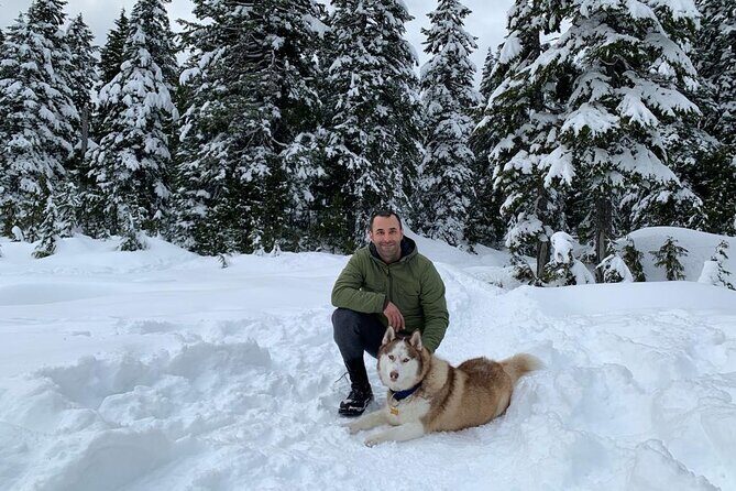 Husky Hikes Private Mountain Tours - Detailed Breakdown of the Experience