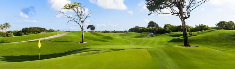 Iberostar Playa Paraiso Golf Club | Tee time Riviera Maya - What to Expect at the Course