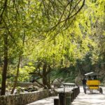 IBO Roller Zip in Cola de Caballo - What the Reviews Tell Us