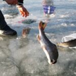 Ice Fishing Tour - Hwacheon Sancheoneo Ice Festival Day Trip from Seoul - Exploring the Day Trip: From Seoul to the Hwacheon Ice Festival