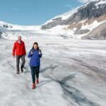Icefield: Bow Lake, Columbia Icefield, Peyto Lake Day Tour - Bow Lake and Peyto Lake: Natures Artistic Masterpieces