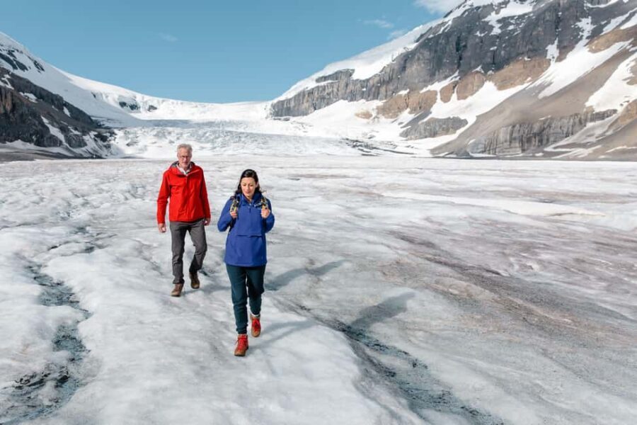 Icefield: Bow Lake, Columbia Icefield, Peyto Lake Day Tour - Bow Lake and Peyto Lake: Natures Artistic Masterpieces