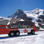 Icefield: Icefield Parkway, Bow Lakes & Peyto Lakes Day Tour - Why This Tour Offers Great Value