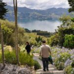 Iconic Shore Excursion: Iconic Larnach Castle Tour - Who Will Love This Tour?