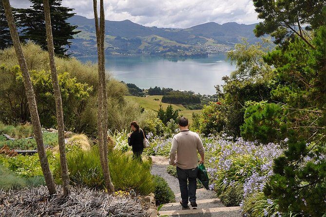 Iconic Shore Excursion: Iconic Larnach Castle Tour - Who Will Love This Tour?