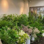 Ikebana Experience Tour in Kyoto - Frequently Asked Questions