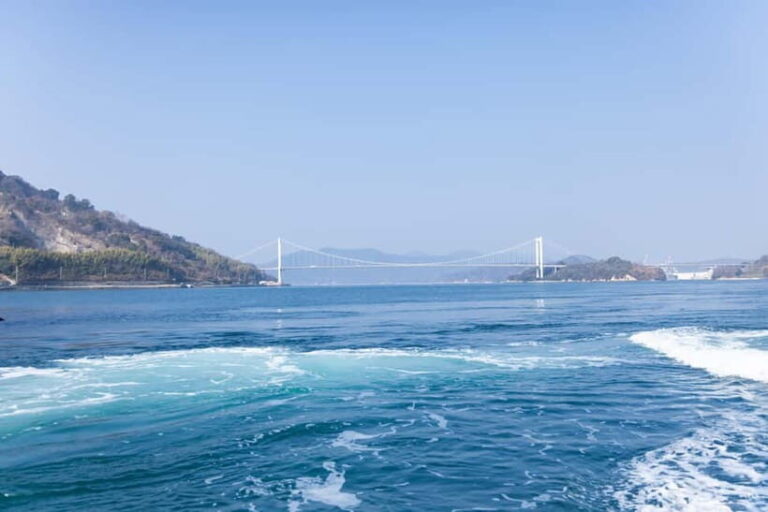 Imabari: Cruising on Fast Tides and Tobishima Kaido Bus Tour - The Transportation: Comfort and Design
