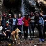 Immerse in the Nature: Deep Connection through Forest Bathing - The Sum Up