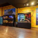 Inbursa Aquarium Entry Ticket with VR Option - Highlights of the Aquarium