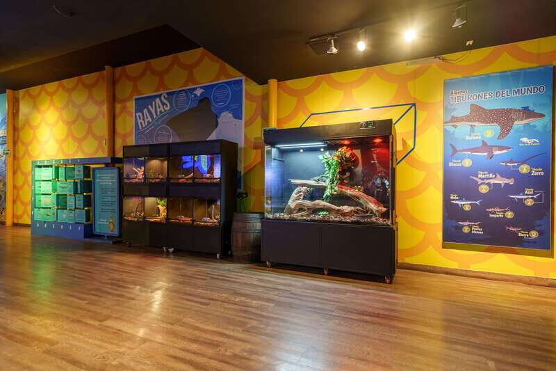 Inbursa Aquarium Entry Ticket with VR Option - Highlights of the Aquarium