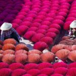 Incense Village Small Group Of 9 Tour From Hanoi to Ninh Binh - The Cost and What You Get