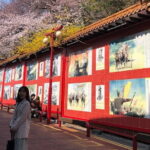 Incheon Highlights: Private One Day Tour - The Experience in Practice