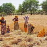 Indian Village Cultural Full Day Private Tour - The Itinerary in Detail