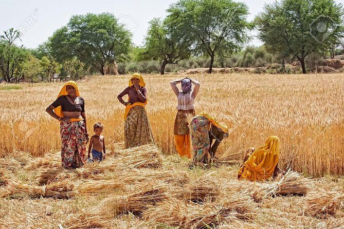 Indian Village Cultural Full Day Private Tour - The Itinerary in Detail