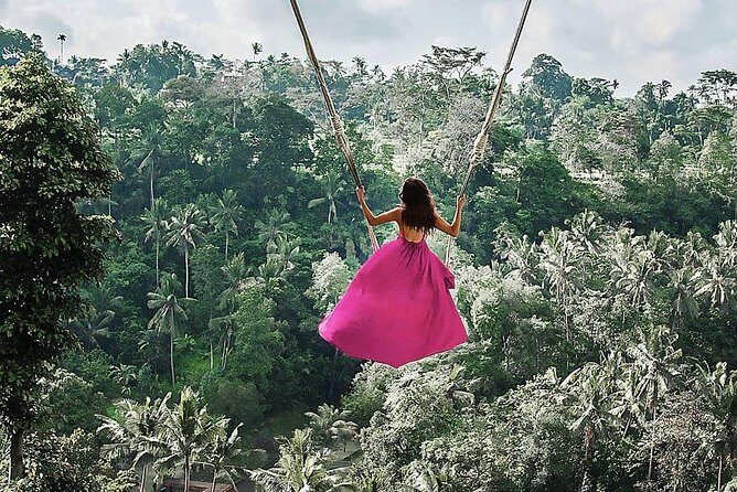 Individual Bali Day Trip with Private Driver and Free WiFi - A Detailed Breakdown of the Itinerary