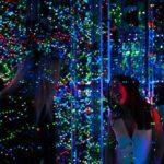 Infinity Attraction - Admission - What Do Visitors Appreciate Most?