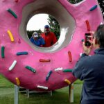 Inland Canterbury & Castle Hill Tour (Lyttelton Shore Excursion) - The Experience You’ll Love