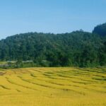 Inthanon Day Trip from Chiang Mai with Lunch - Group or Private - Possible Drawbacks and Considerations