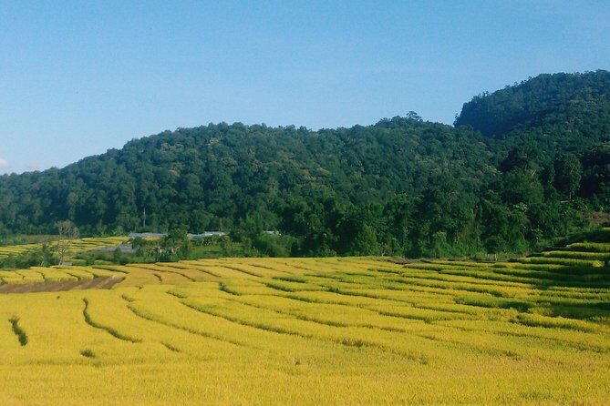 Inthanon Day Trip from Chiang Mai with Lunch - Group or Private - Possible Drawbacks and Considerations