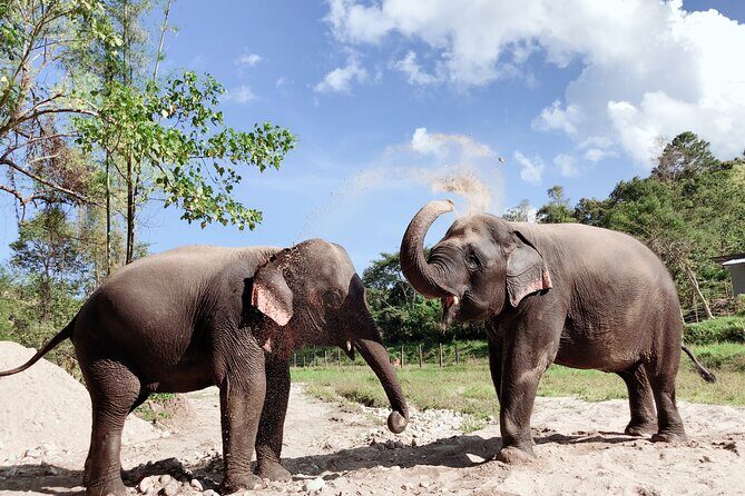 Inthanon Heaven Trail(Living Green Elephant Sanctuary) - What Makes This Tour Stand Out?