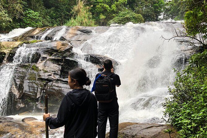 Inthanon National Park Tour with Soft Hike at Pha Dok Siew Trail - The Practicalities and Value of the Tour