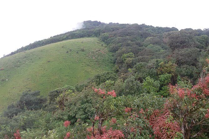 Inthanon Small-Group with Kew Mae Pan Trail from Chiang Mai include Lunch - Mae Klang Luang Village and a Coffee Farm