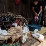 Into the Thieves Market Hanoi Photo Tour - Who Would Benefit Most From This Tour?