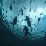 Invisible Boat Snorkeling Tour - What’s Included and Not?
