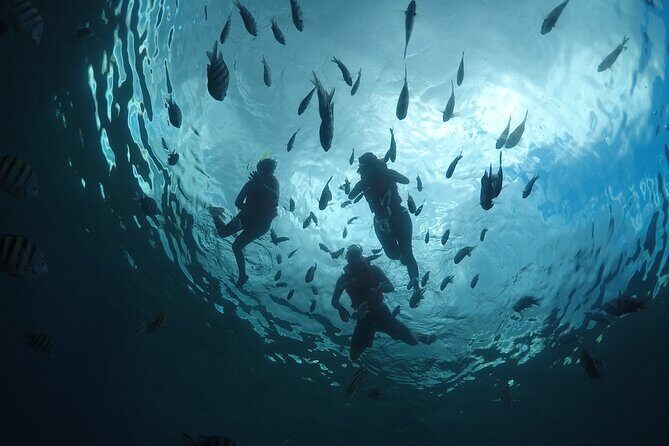 Invisible Boat Snorkeling Tour - What’s Included and Not?
