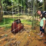 Ipoh Private Day Trip from Kuala Lumpur with Lunch - What Makes This Tour Stand Out?
