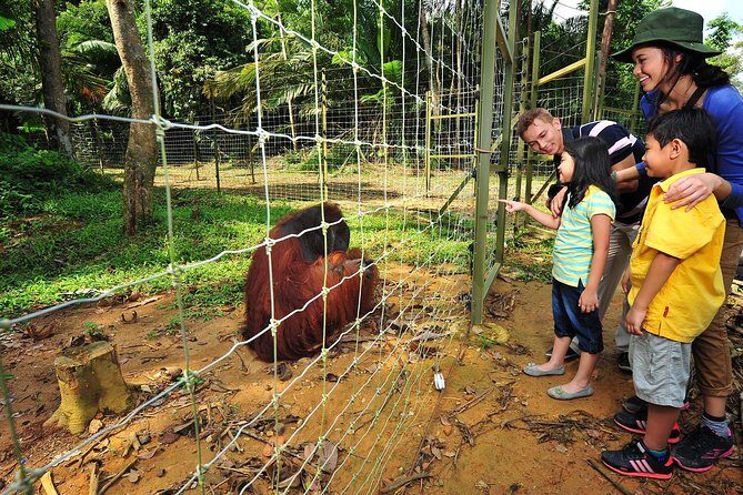 Ipoh Private Day Trip from Kuala Lumpur with Lunch - What Makes This Tour Stand Out?