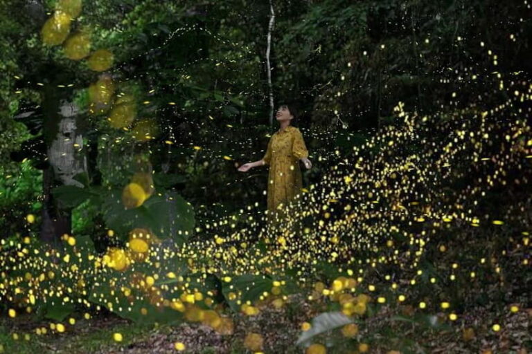 Iriomote Island Limited Time Yaeyama Firefly Viewing Tour - Who Will Love This Tour?