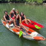 Iriomote: Mangrove SUP or Canoe and Yubujima sightseeing - Discovering Okinawa’s Unique Ecosystem
